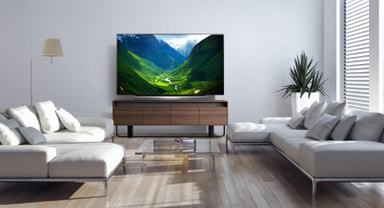 LG 65" 4K UHD OLED Smart TV C8 OLED65C8 | Elgiganten