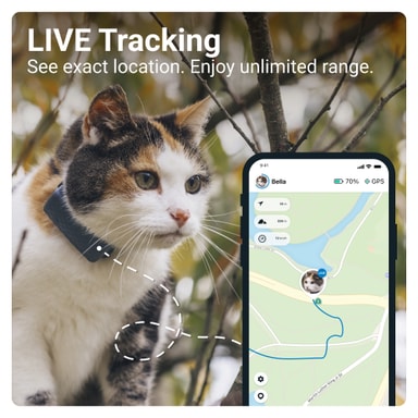 Tractive CAT Mini GPS tracker til kat (blå) | Elgiganten | Elgiganten